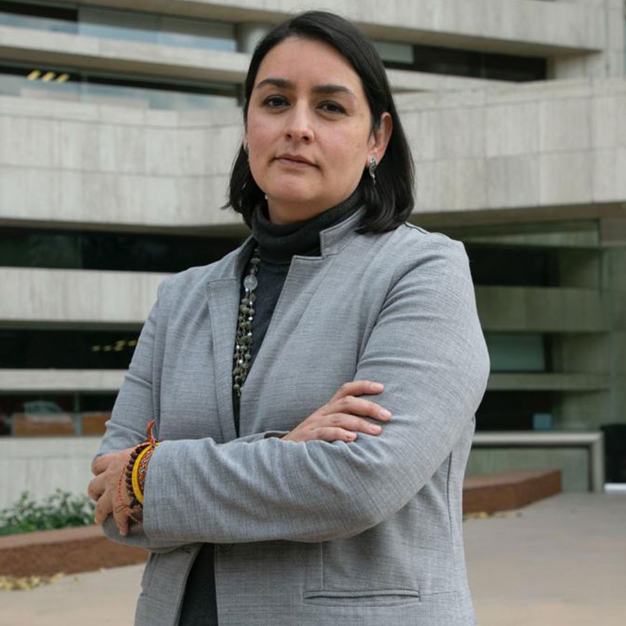 Acciones por una Economía Sustentable